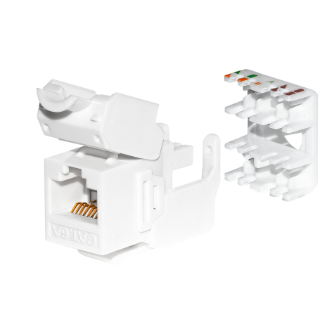 Netrack keystone module Jack RJ45 cat. 6A UTP, toolless, white